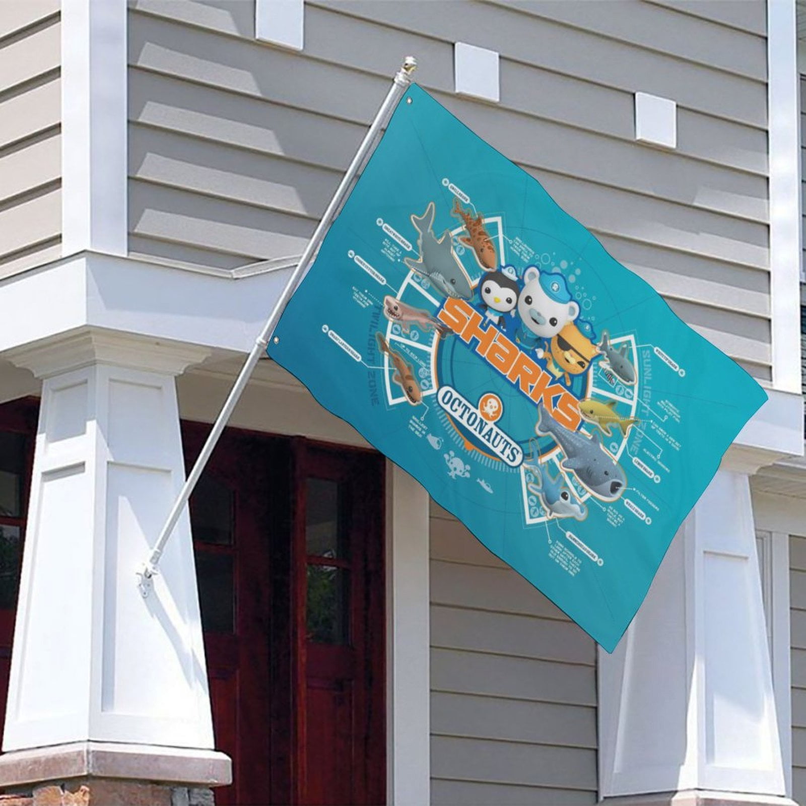 Cartoon Garden Banner - Double-Sided House Outdoor Flag for Yard And ...