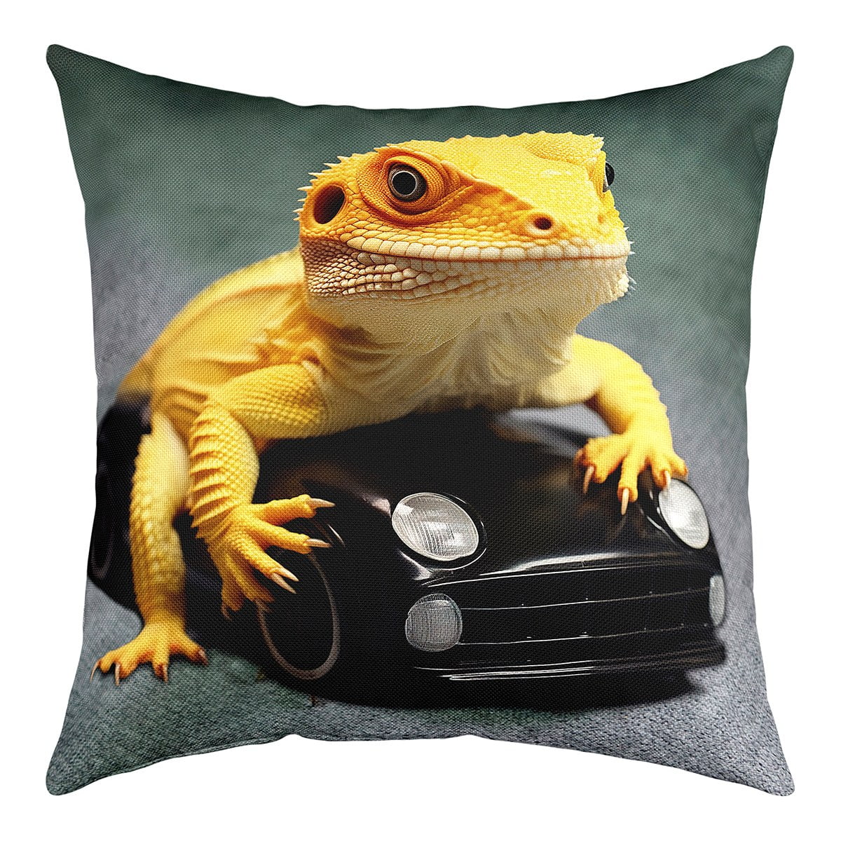 Cartoon Lizard Throw Pillow Cover For Adult Teens Sports Car Pillow ...