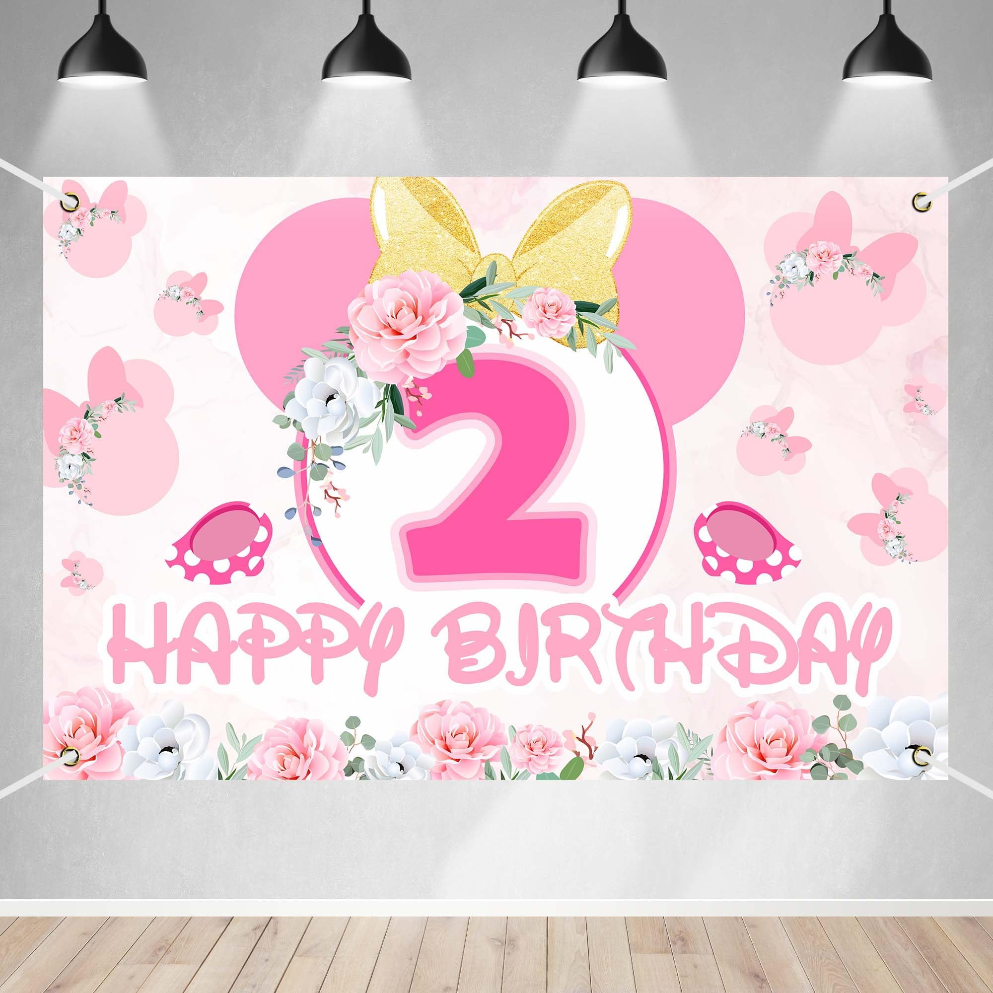 Cartoon Mouse Pattern Happy 2nd Birthday Banner Backdrop Beautiful Pink ...