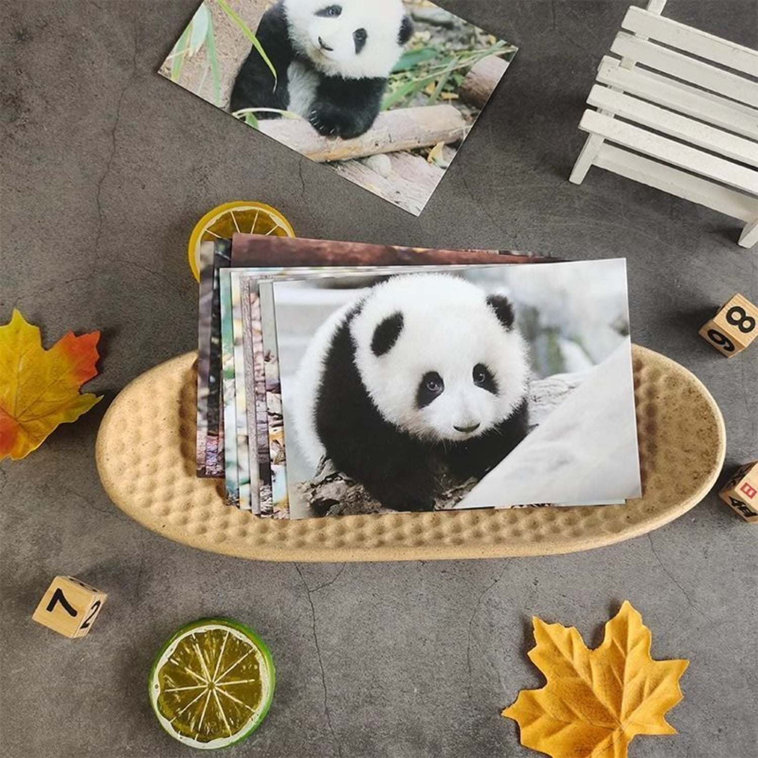 Cartoon Panda Postcards 12-Pack Animal Theme Travel Souvenir ...