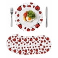 Cartoon Red Ladybirds Round Table Placemats set of 6, White Washable ...