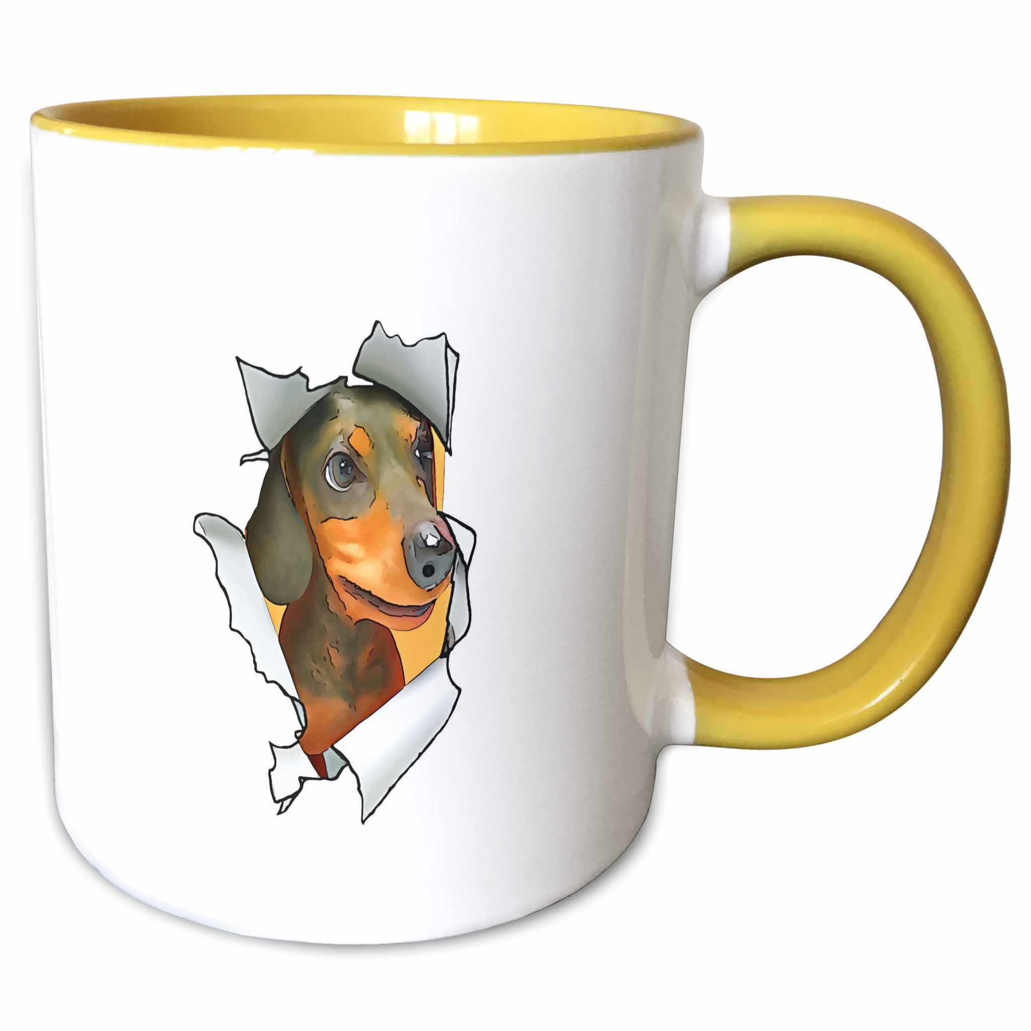 3drose, Cartoon Style Dachschund Poking Its Head Through Ripped Paper ...