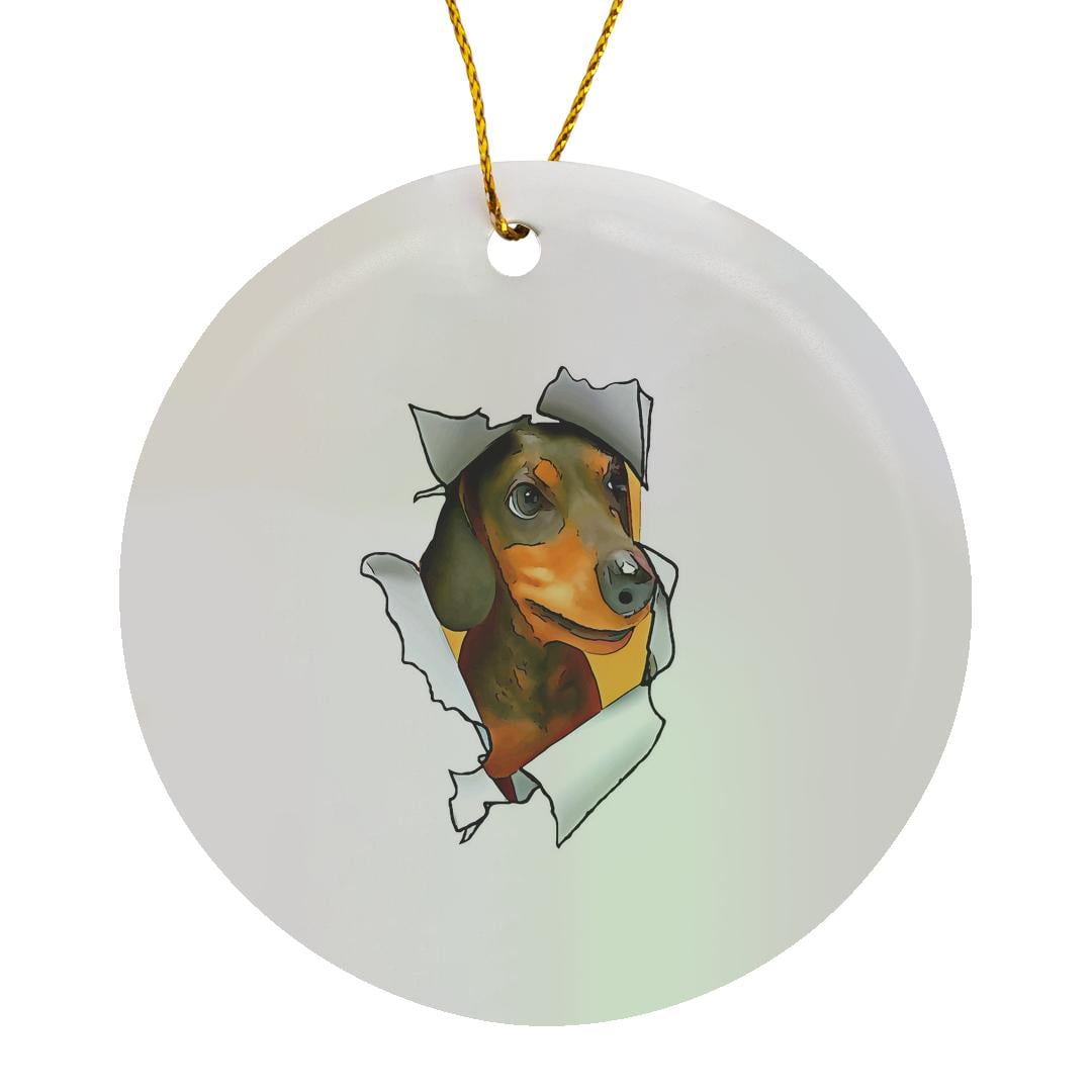 3drose, Cartoon Style Dachschund Poking Its Head Through Ripped Paper ...