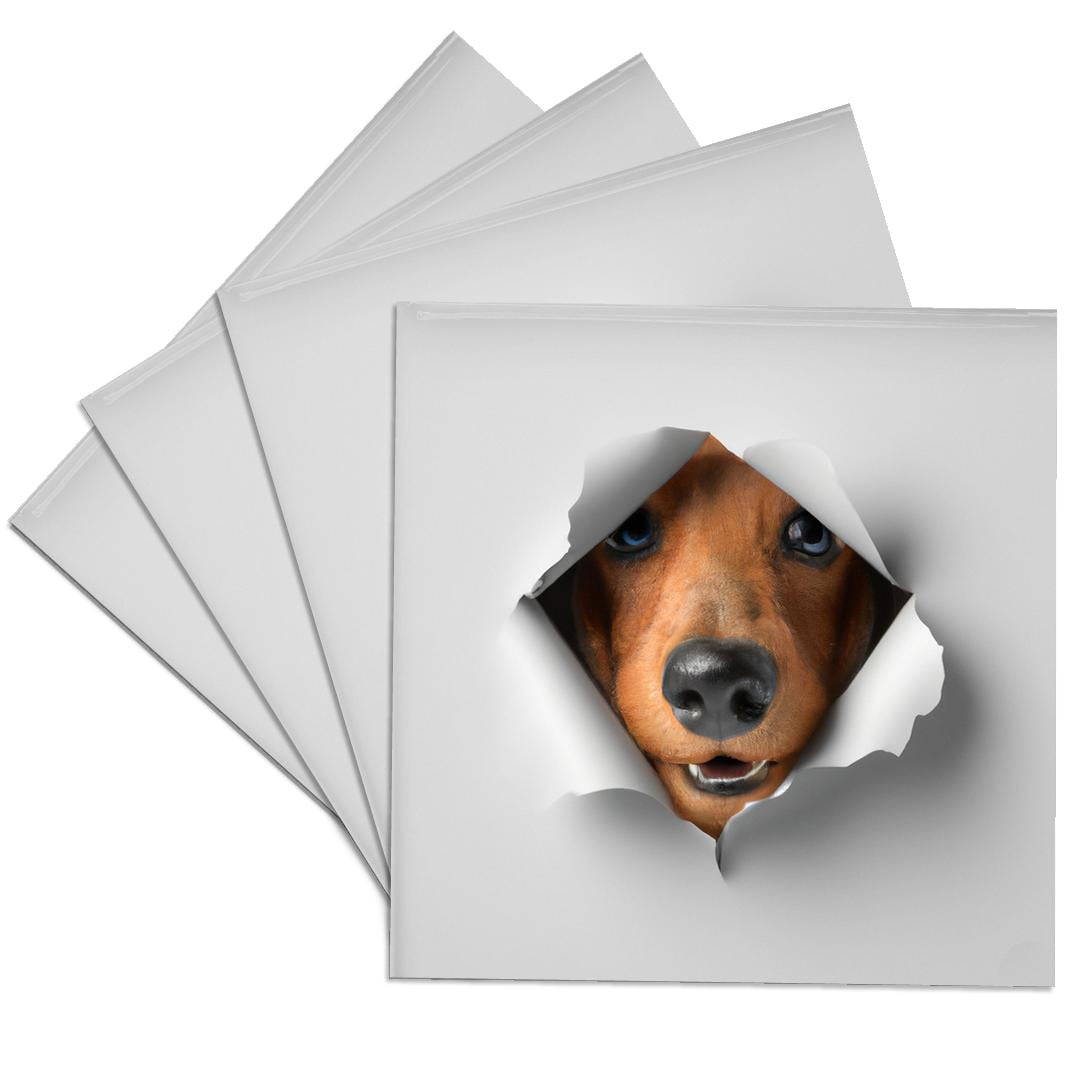 Cartoon Style Dachshund Poking Its Head Through Ripped Paper , set of 4 ...