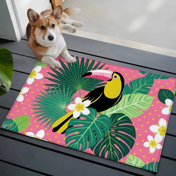 Cartoon Toucan Bird 2x3 Area Rugs for Living Room, Tropical Plumeria ...