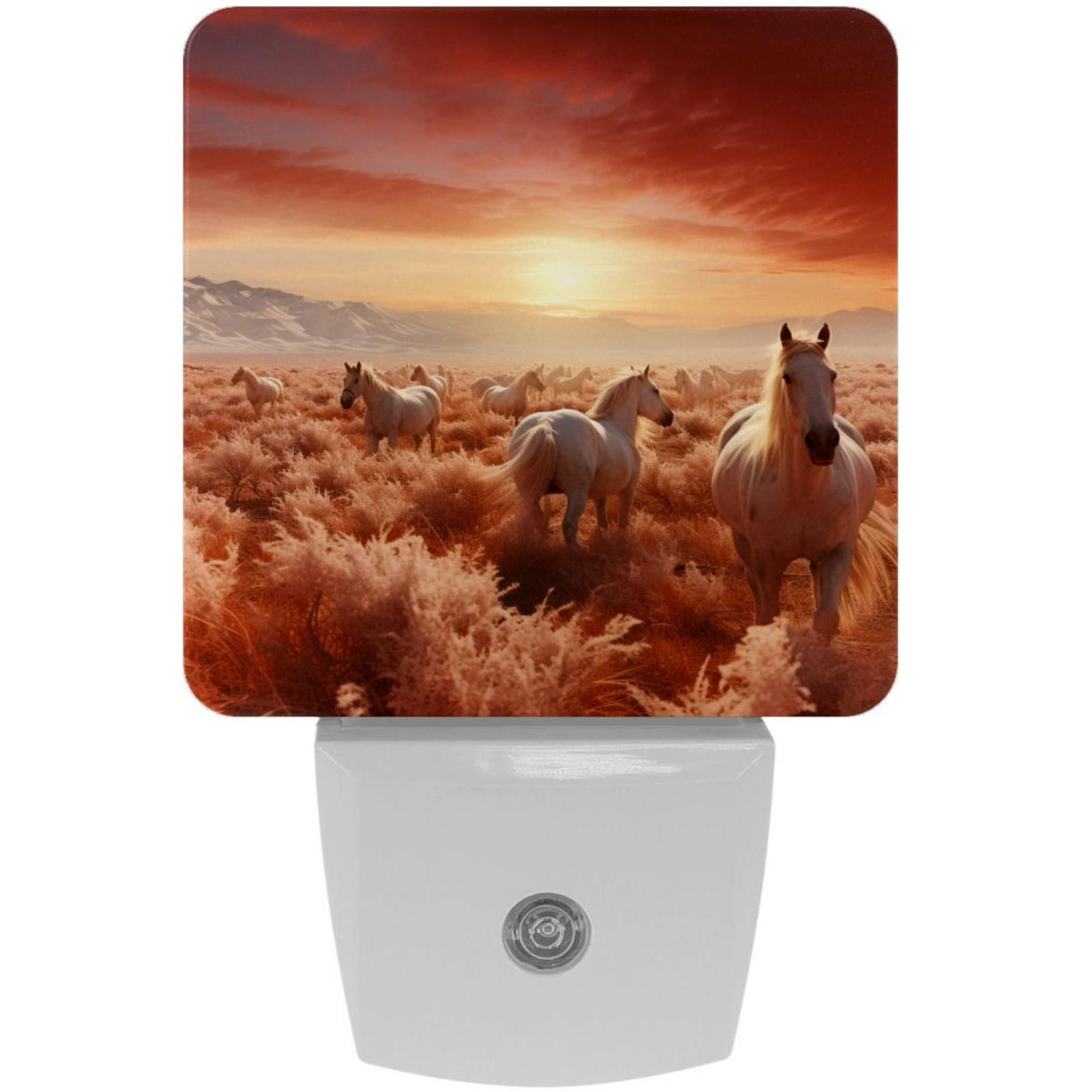 Cartoons LED Square Night Light - Energy Efficient and Stylish ...