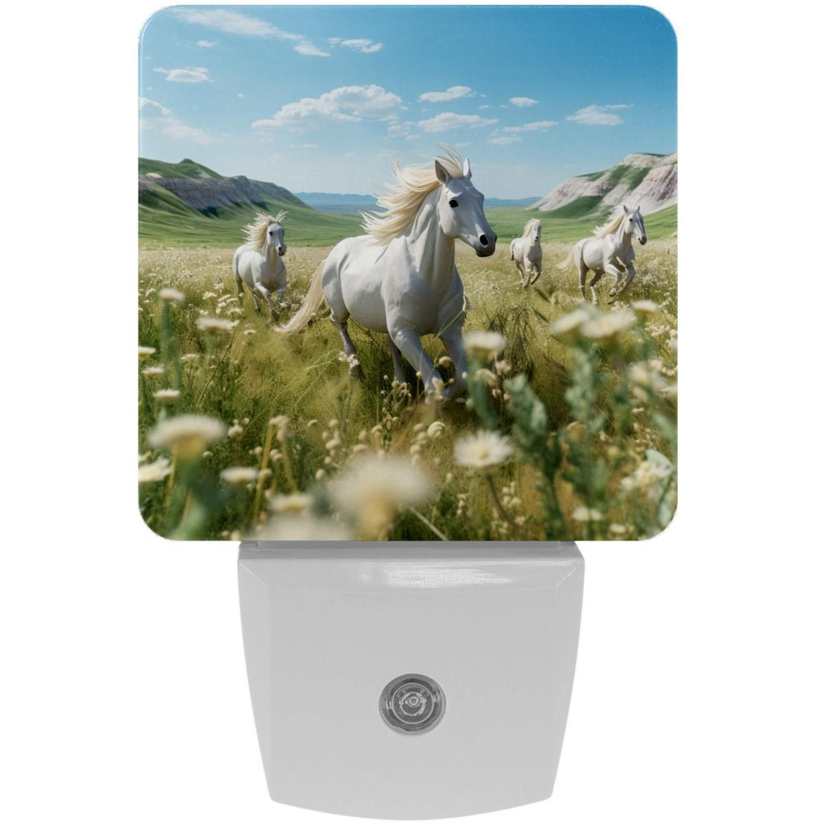 Cartoons LED Square Night Lights for a Bright and Stylish Ambiance ...