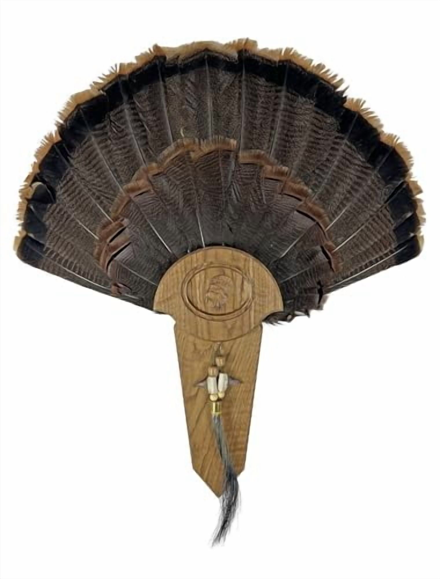 Carved Turkey Tail Mounting Kit w/Beard and Spur Display Options ...