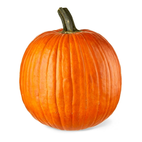 Pumpkin Solid