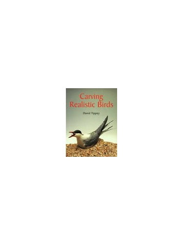 Pre-Owned Carving Realistic Birds (Paperback) 1861080107 9781861080103 ...