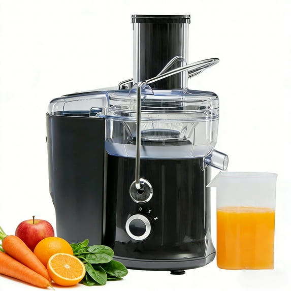 Casabay 480W Juicer Machine, Large Feed Chute Juicers Machine with ...