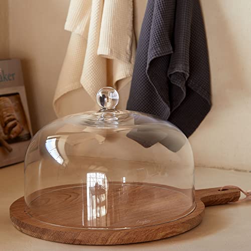Casafina 12" Glass Dome Cloche - Arcade Collection, Clear | Mouth-Blown ...