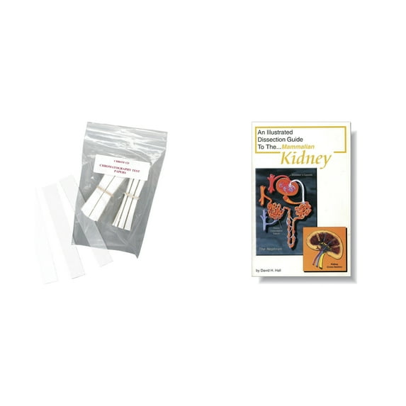 Casafoyer Chromatography Paper and Mini-Guide to Mammalian Kidney ...