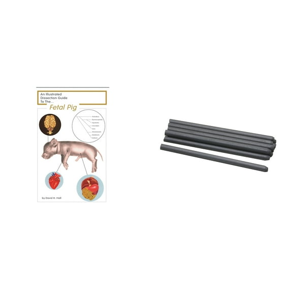 Casafoyer Mini-Guide to Pig Dissection & Carbon Rods Combo Kit for ...