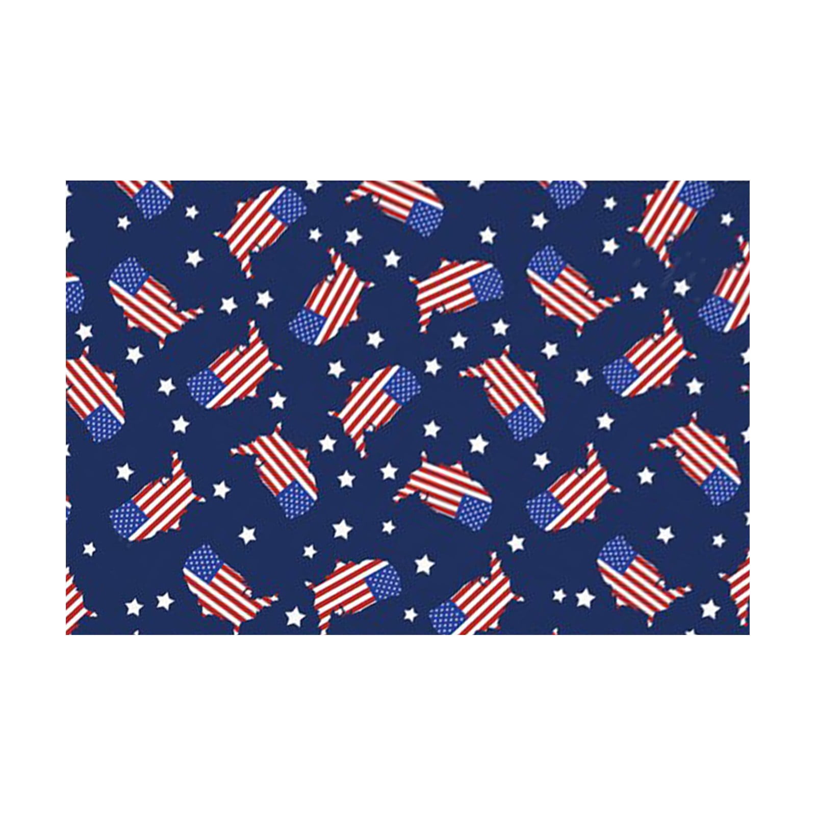 Casaio Floor Mat Independence Day Decorative Door Mat Bathroom Living ...