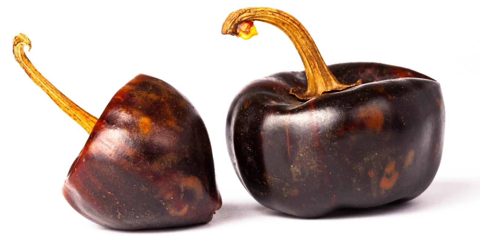 Cascabel Rattle Chili Little Bell Heirloom Mirasol Pepper Premium Seeds ...