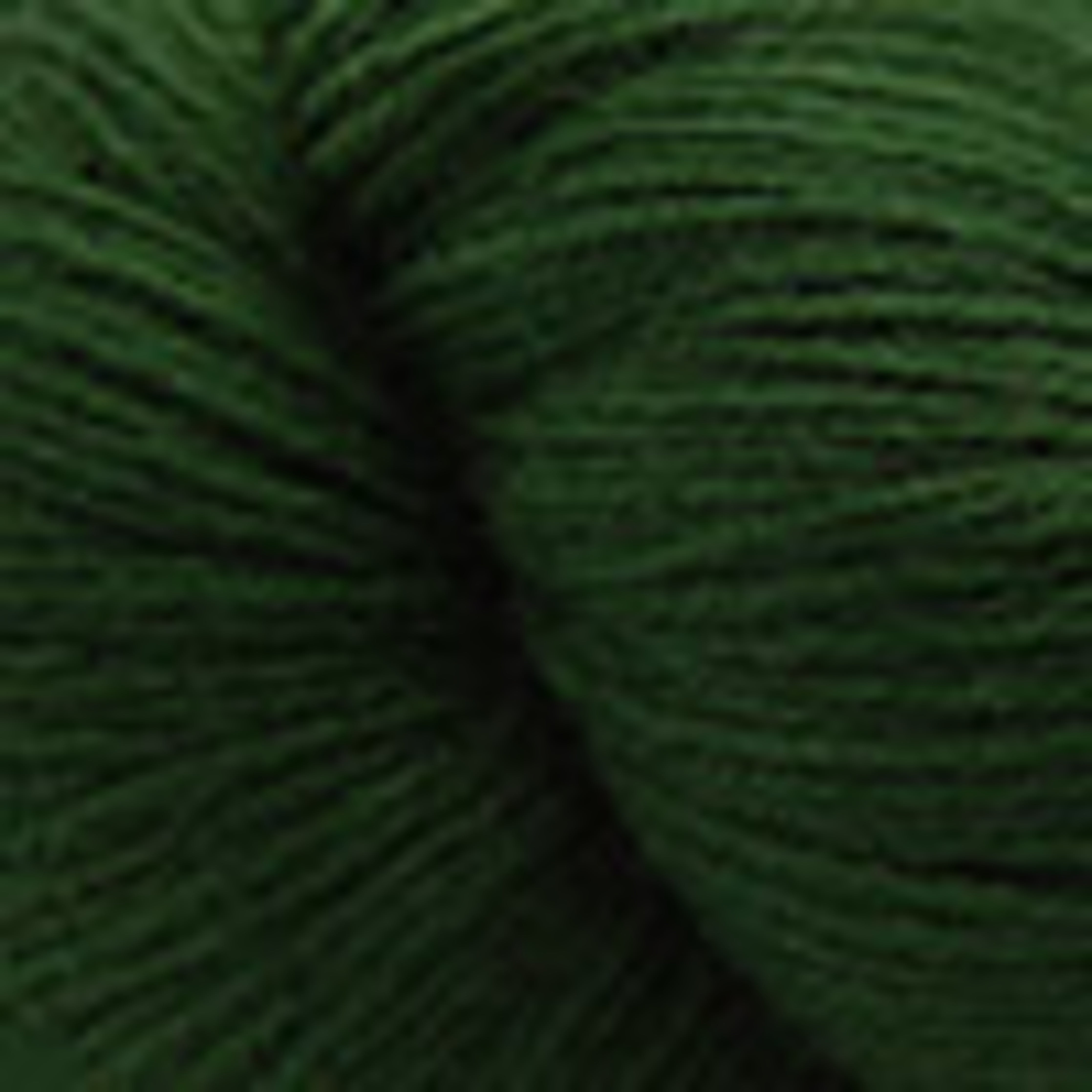 Cascade Heritage Sock - Walmart.com