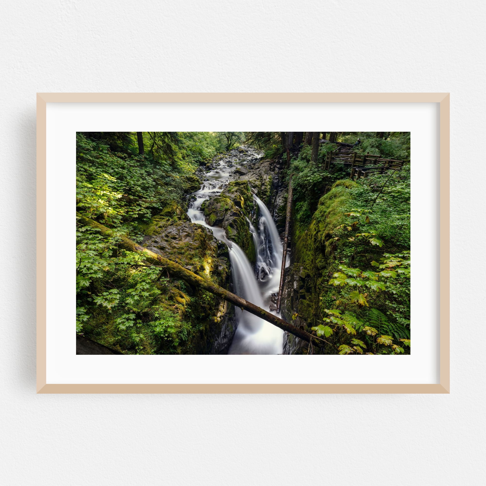 Cascade Serenity at Sol Du Sac Falls - Port Angeles Washington Photography Waterfall Forest ...