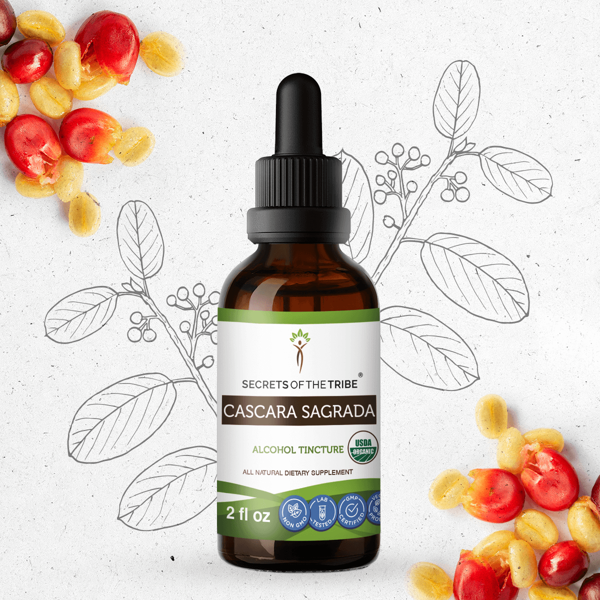 Cascara Sagrada Tincture Alcohol Extract, Responsibly farmed organic ...