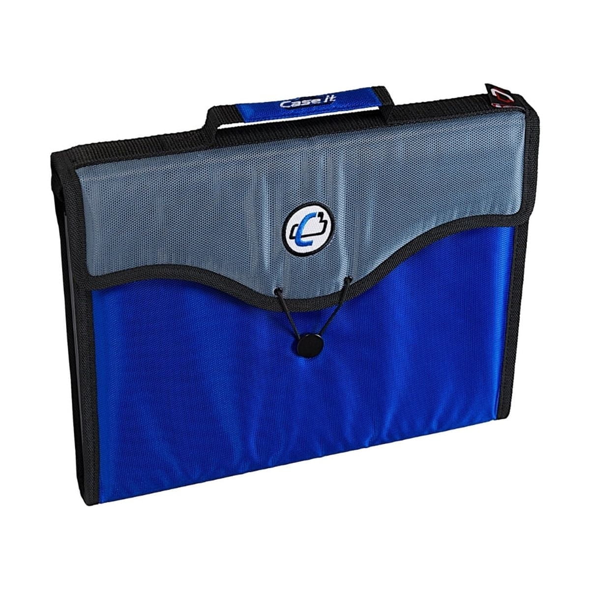 Case-it 13-Pocket Expanding File with Handle and Shoulder Strap, EFF-30 ...