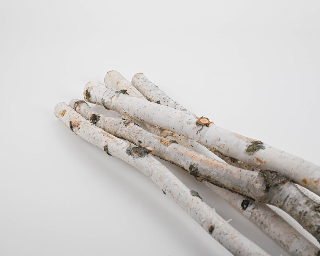 Case of 10, 1-2 Inch Diameter Poles, White Birch Poles - Decorative for ...