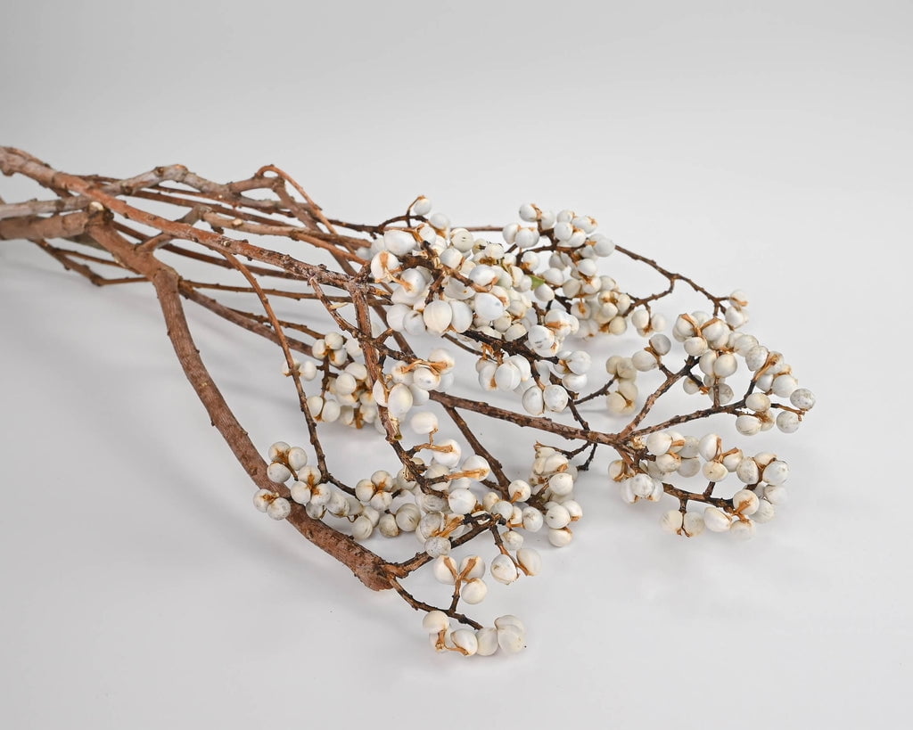 Case of 12 Bunches, Dried Tallow Berries for Centerpiece Arrangements ...