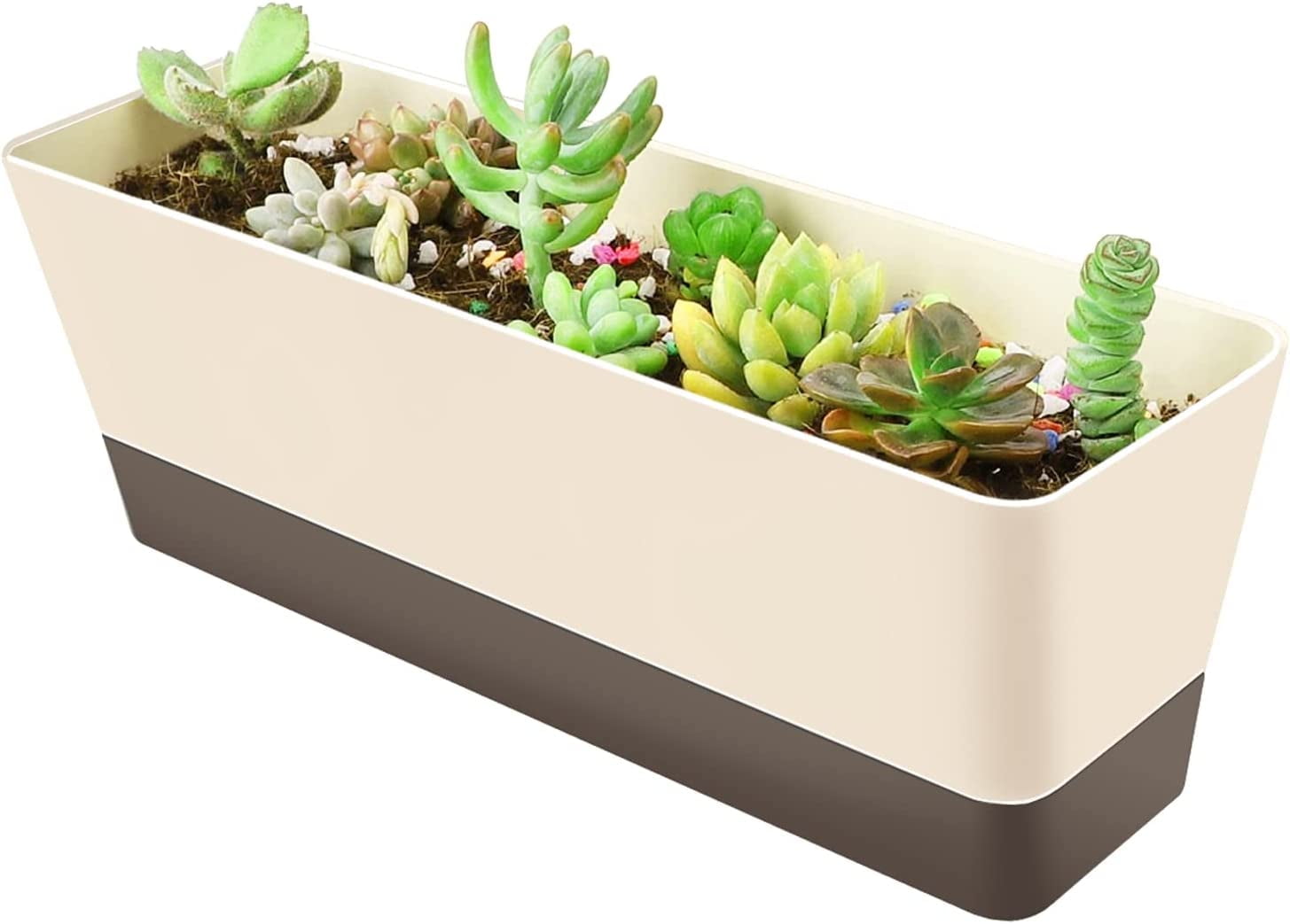 Casewin Rectangular Succulent Plant Pot with Drain Tray, Flower Garden ...