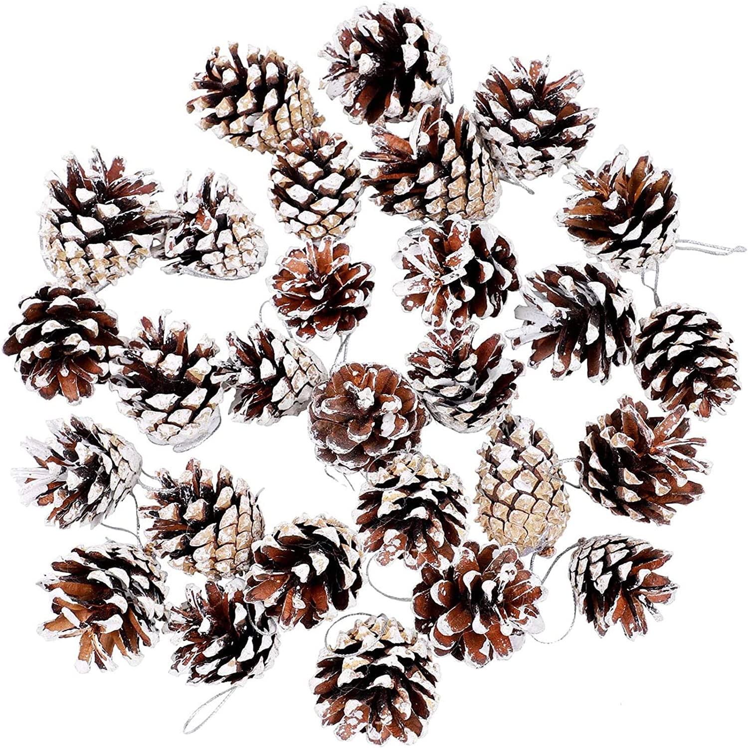 Casewin 27 Pieces 3-4 cm Mini Christma Pine Cones Holiday Pinecones ...