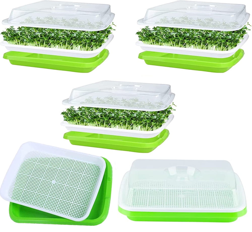 Casewin 5 Pack Seed Sprouter Tray with Lid, Nursery Seedling Seed ...