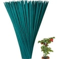 Casewin 15.7 Inches Garden Wood Plant Stakes, Green Bamboo Sticks for ...