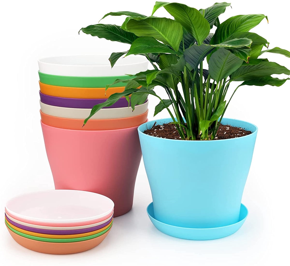 Casewin Indoor Small Pots for Plants, 8 Pack Multicolor Plastic ...