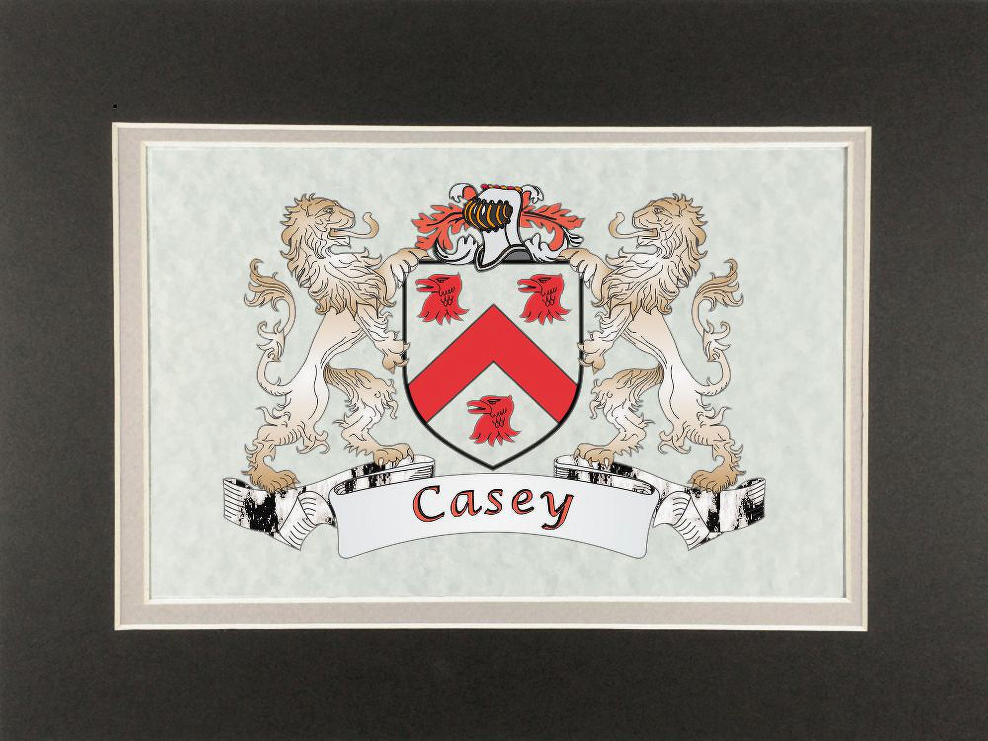 Casey Irish Coat of Arms Print - Frameable 9" x 12" - Walmart.com