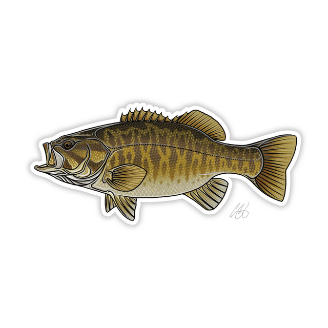 Casey Underwood Smallmouth Bass Decal Sticker - Walmart.com