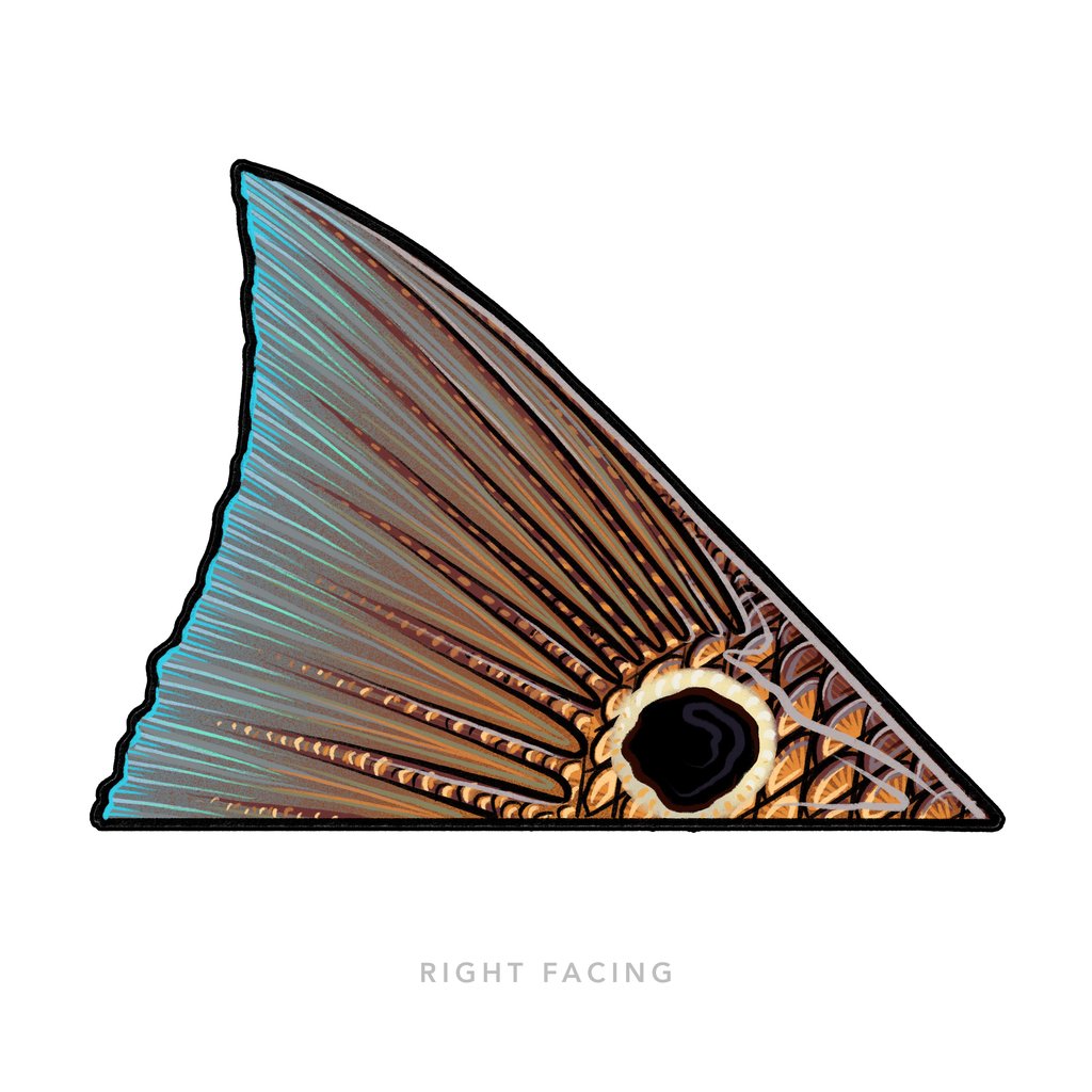 Casey Underwood Tailing Redfish Decal Sticker - Right Facing - Walmart.com