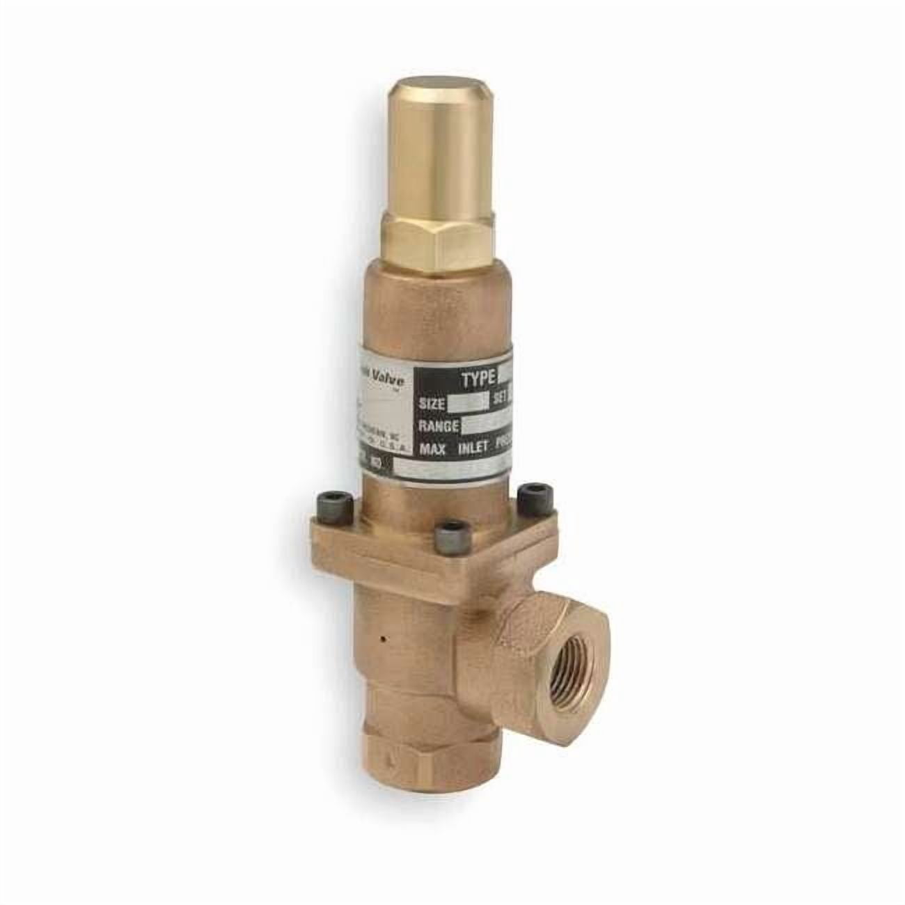 Cash Valve Pressure Relief Valve,3/4 In,200 psi K10DWA01-E3-0200 ...