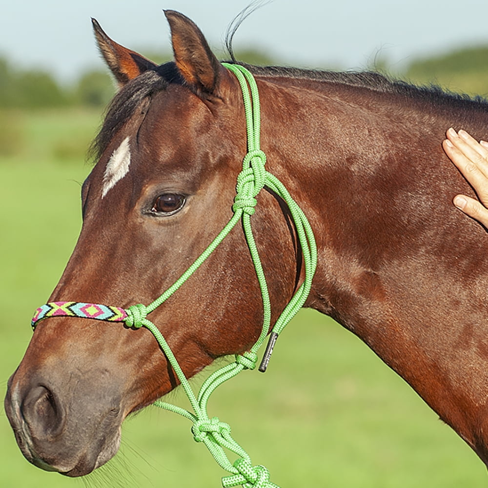 Cashel Company Lime Beaded Rope Halter with9ft Lead Lime - Walmart.com