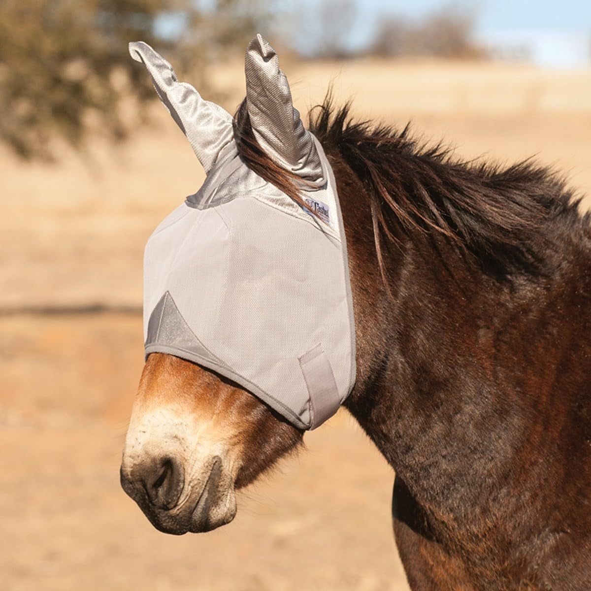 Cashel Crusader Mule Fly Mask, Standard with Ears (Grey, Mule Horse ...