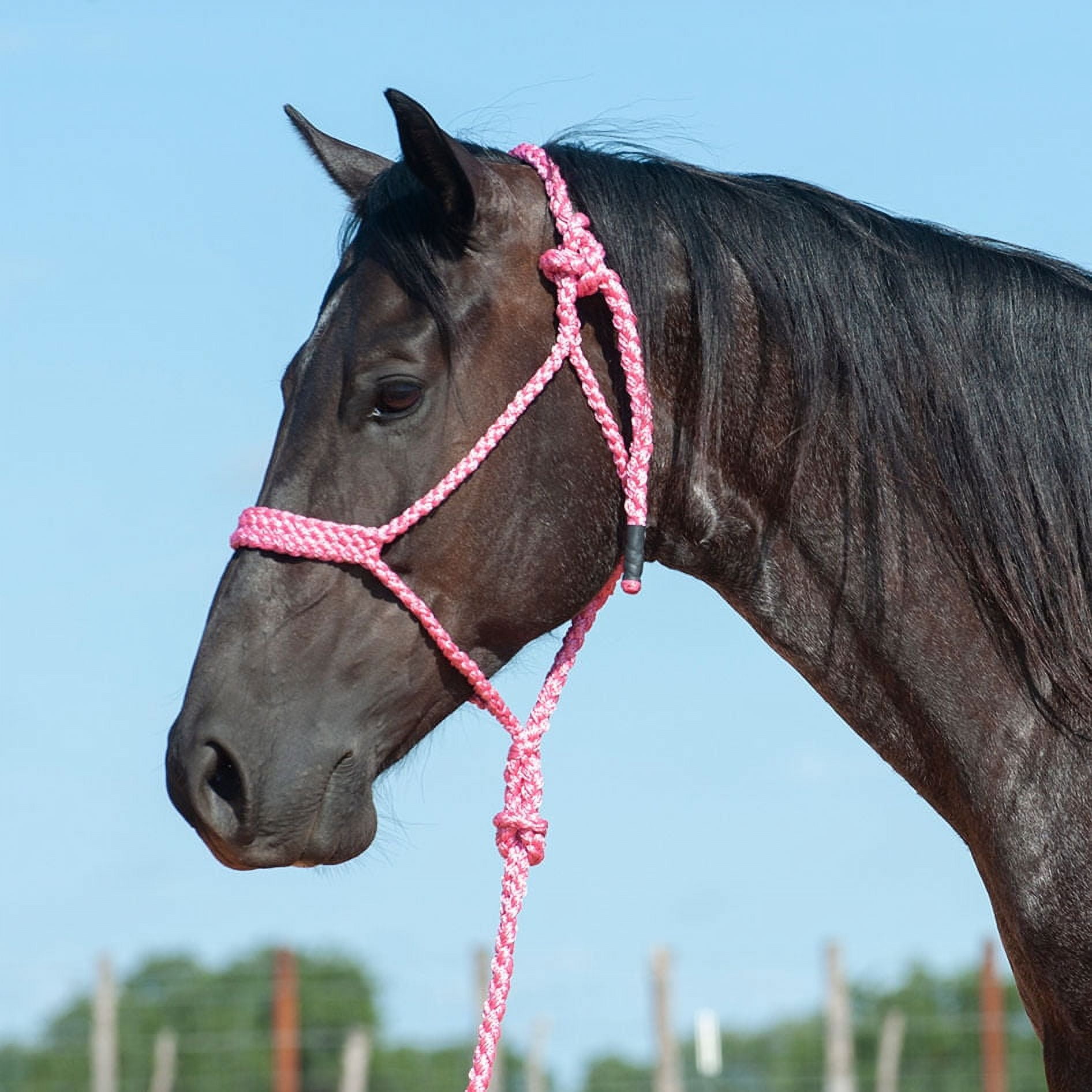 Cashel Flat Braid Halter and Leadrope, Pink - Walmart.com