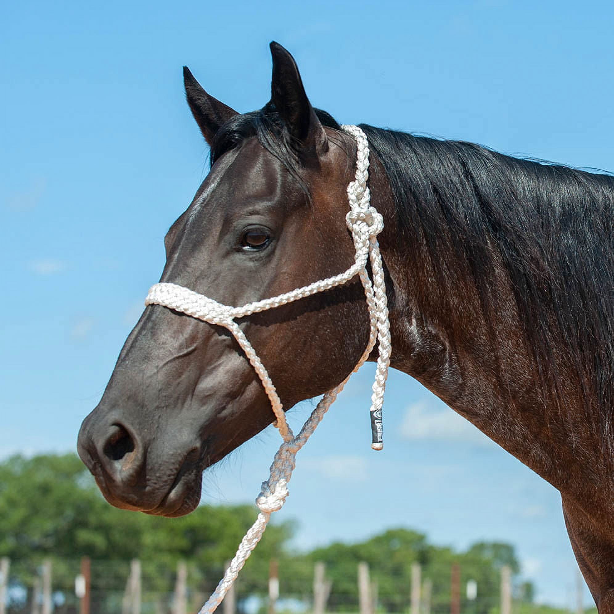Cashel Flat Braid Halter and Leadrope, White - Walmart.com