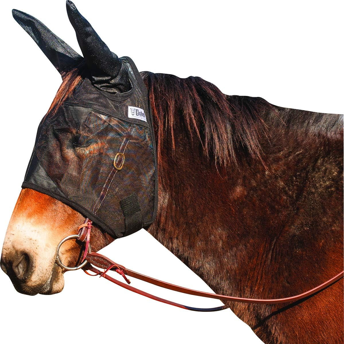 Cashel QR Mule SM QTR HSE/ARB/COB SWE (QRMASE), Black, Mule Arabian ...
