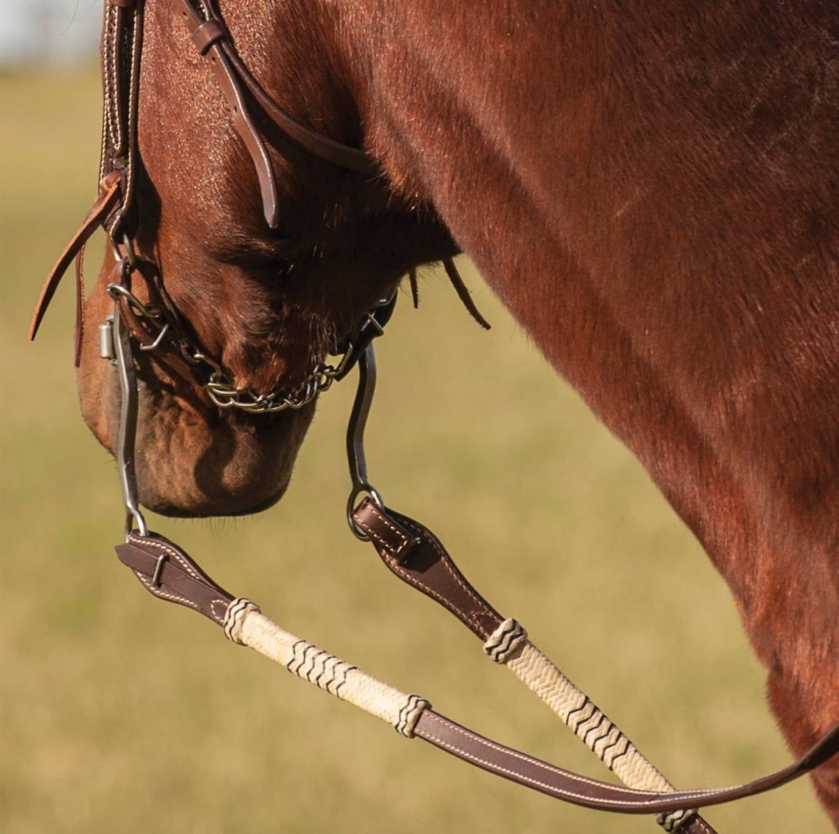 Cashel Quick Change Rawhide Trim Split Reins - Walmart.com