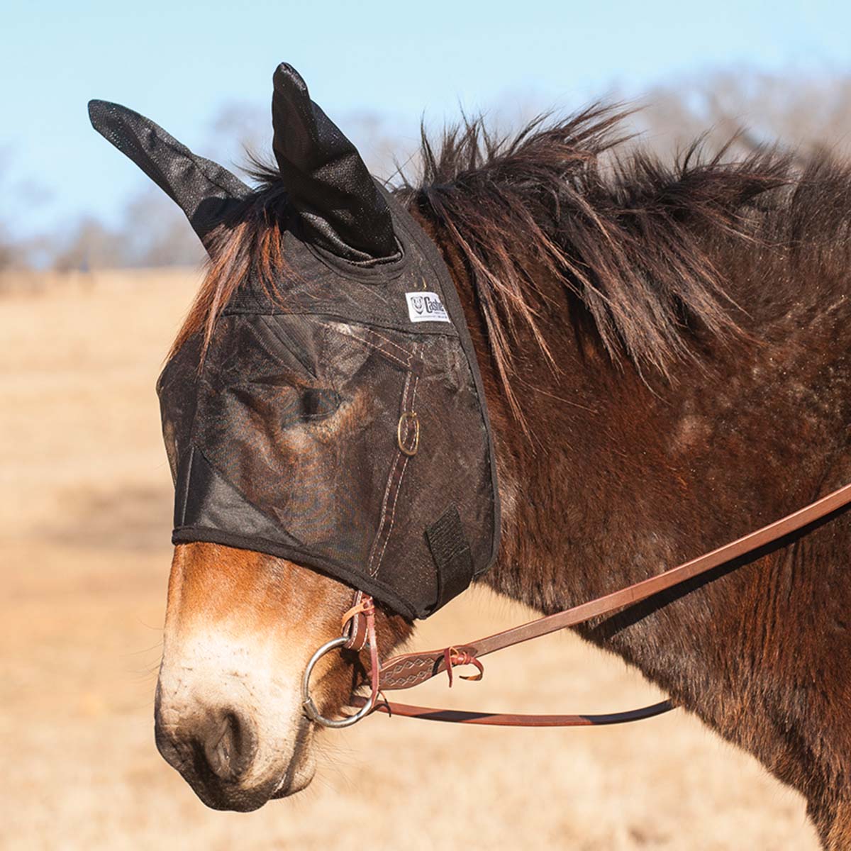 Cashel Quiet Ride Fly Mask - Standard with Mule Ears - Walmart.com