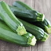 Spineless Beauty Zucchini Summer Squash Garden Seeds (Treated) - 100 ...
