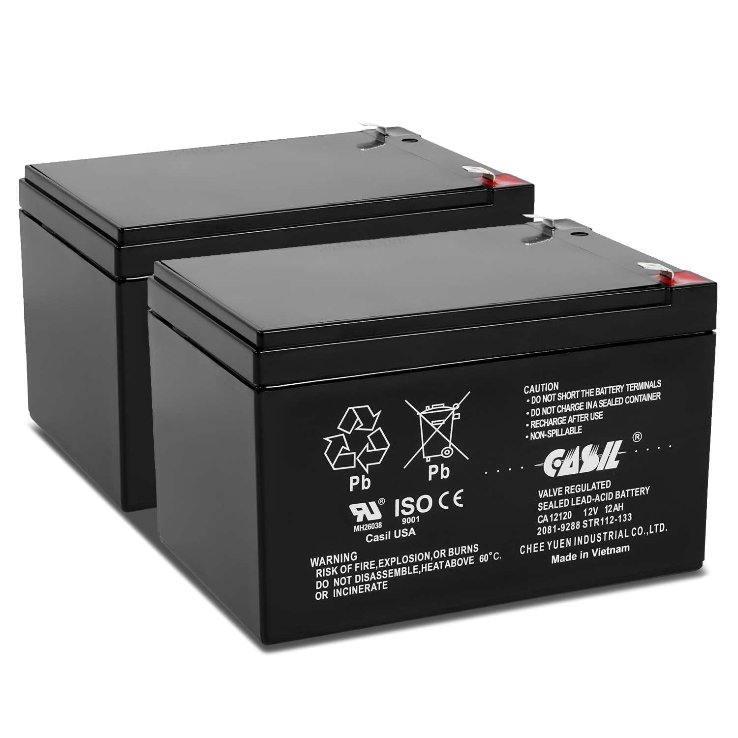Casil Sealed Lead Acid 12 Volt Vehicle Battery Group Size F2, 850 CCA ...