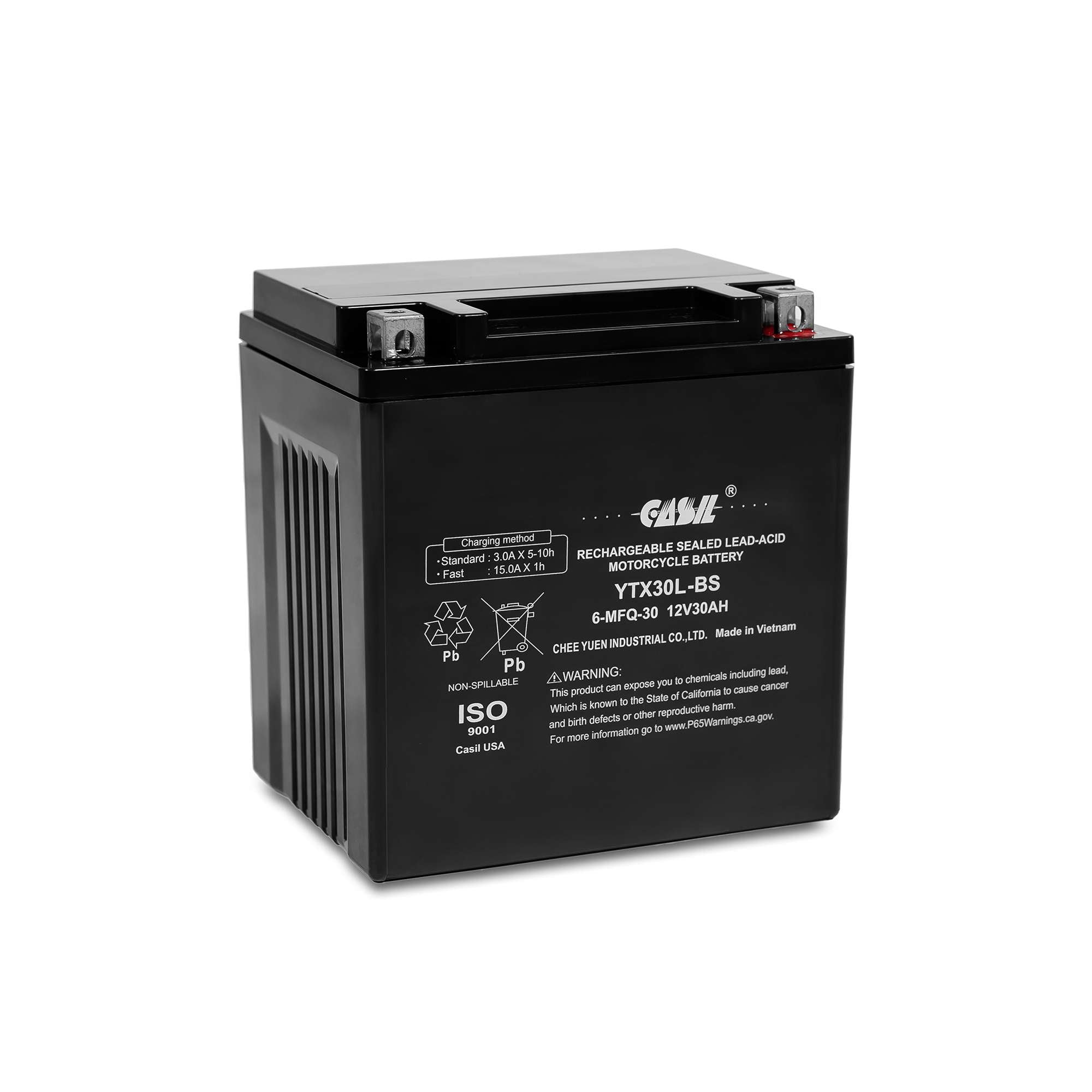 Casil YTX30L-BS Power Sports Replacement Yuasa YIX30L Motorcycle ...