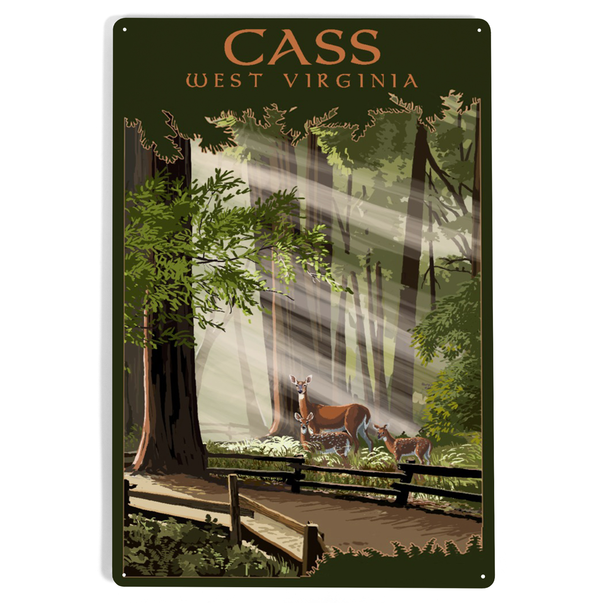 Cass, West Virginia, Deer and Fawns (12x18 Aluminum Art, Indoor Outdoor ...