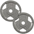 Cast Iron 1-Inch Standard Weight Plate for Strength Training ...
