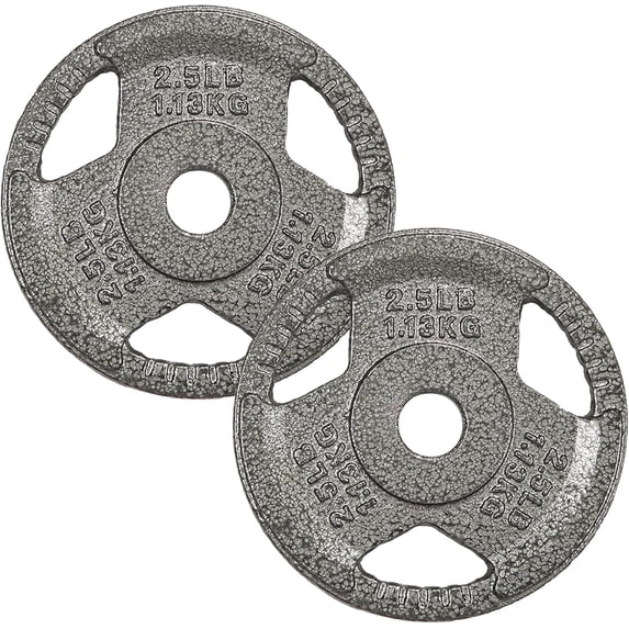 Cast Iron 1-Inch Standard Weight Plate for Strength Training ...