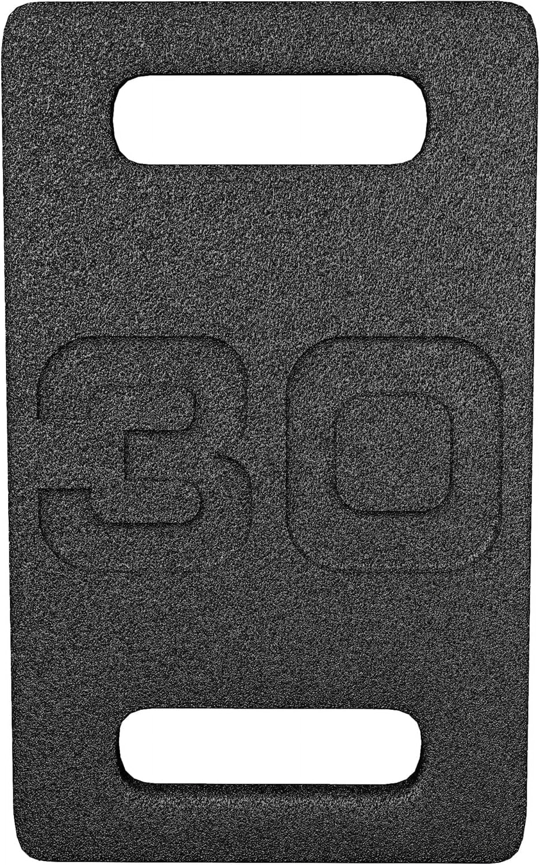 Cast Iron Plate, Weighted Plate for Swings, Squat, Strength Training ...