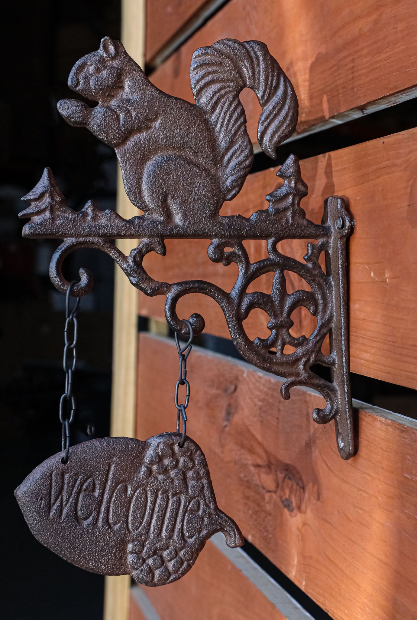 Cast Iron Rustic Farmhouse Squirrel Welcome Acorn Fleur De Lis Wall ...